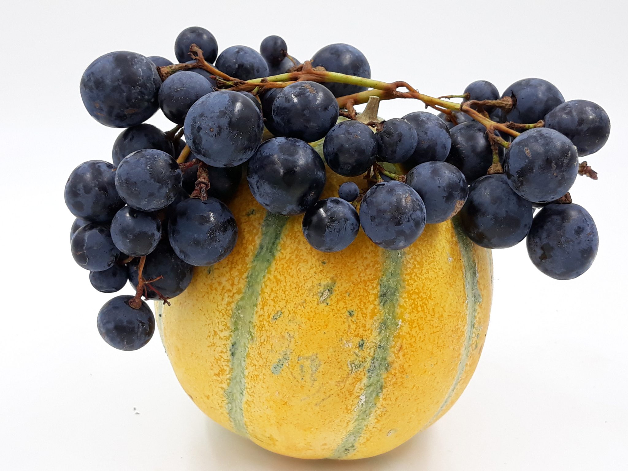 N°87 RAISINS BIO, MELONS et PASTEQUES samedi 26 août 2023 – Directissimo 88