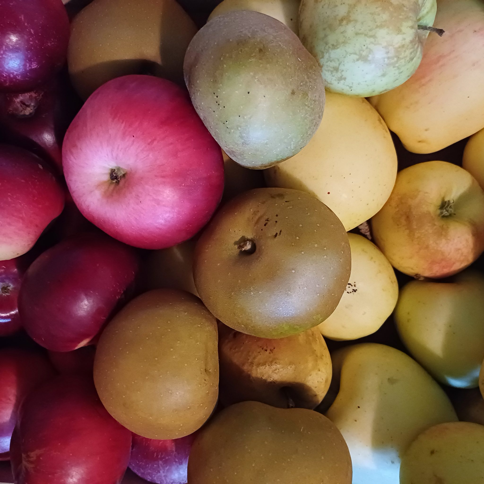 N°16 POMMES, POIRES et JUS de Laurent TONA 20 NOVEMBRE 2025 ...